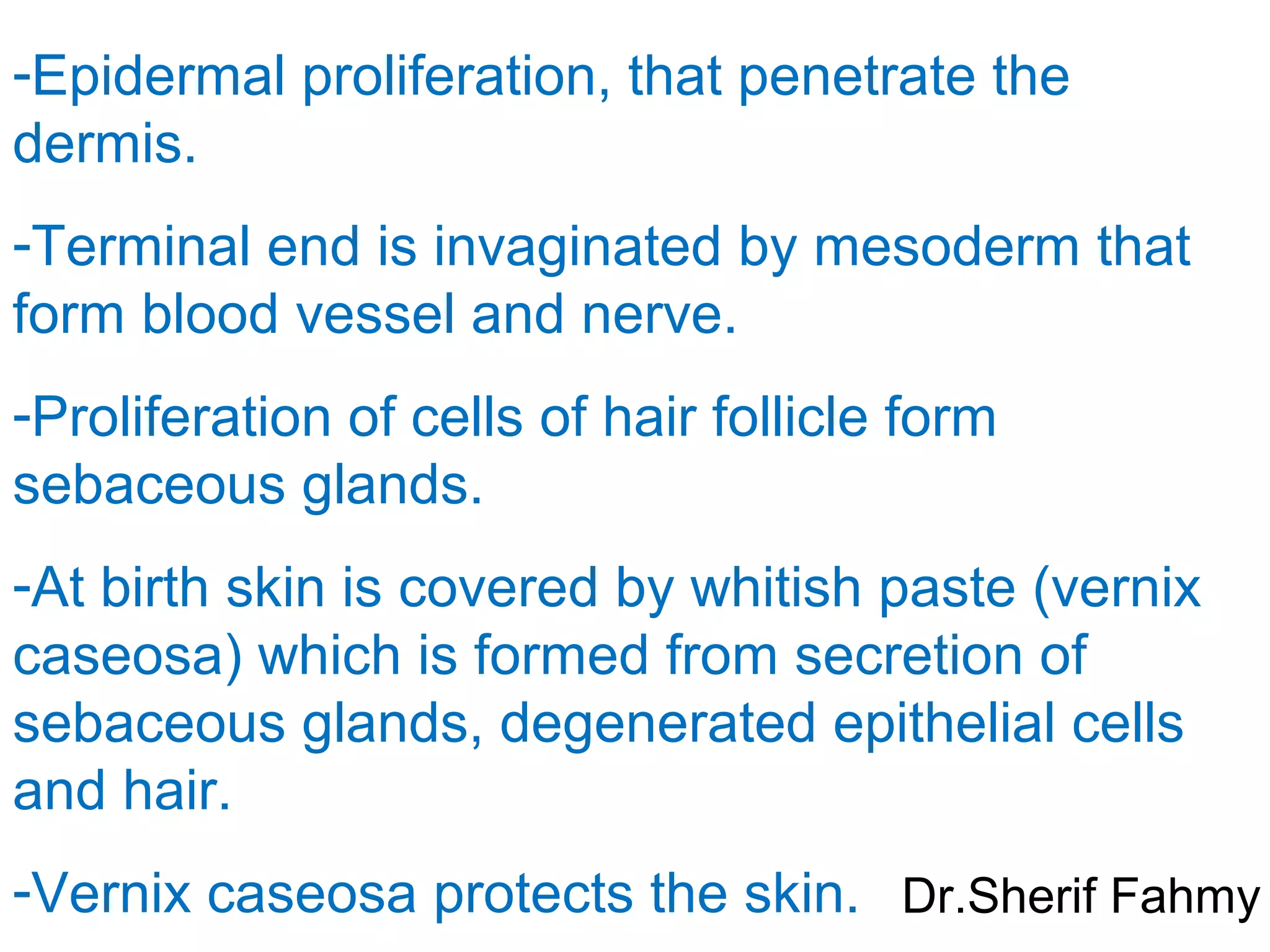 Developmet of Integumentary System (Special Embryology) | PPS