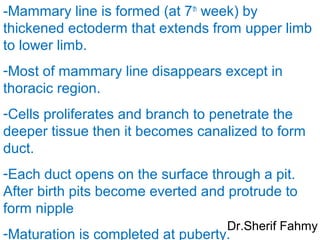 Developmet of Integumentary System (Special Embryology) | PPS