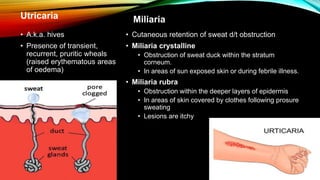 Integumentary system | PPTX
