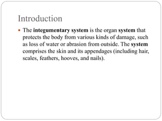 Integumentary system | PPTX
