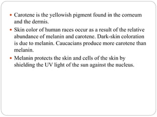 Integumentary system | PPTX