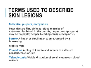 Integumentary system examination | PPTX