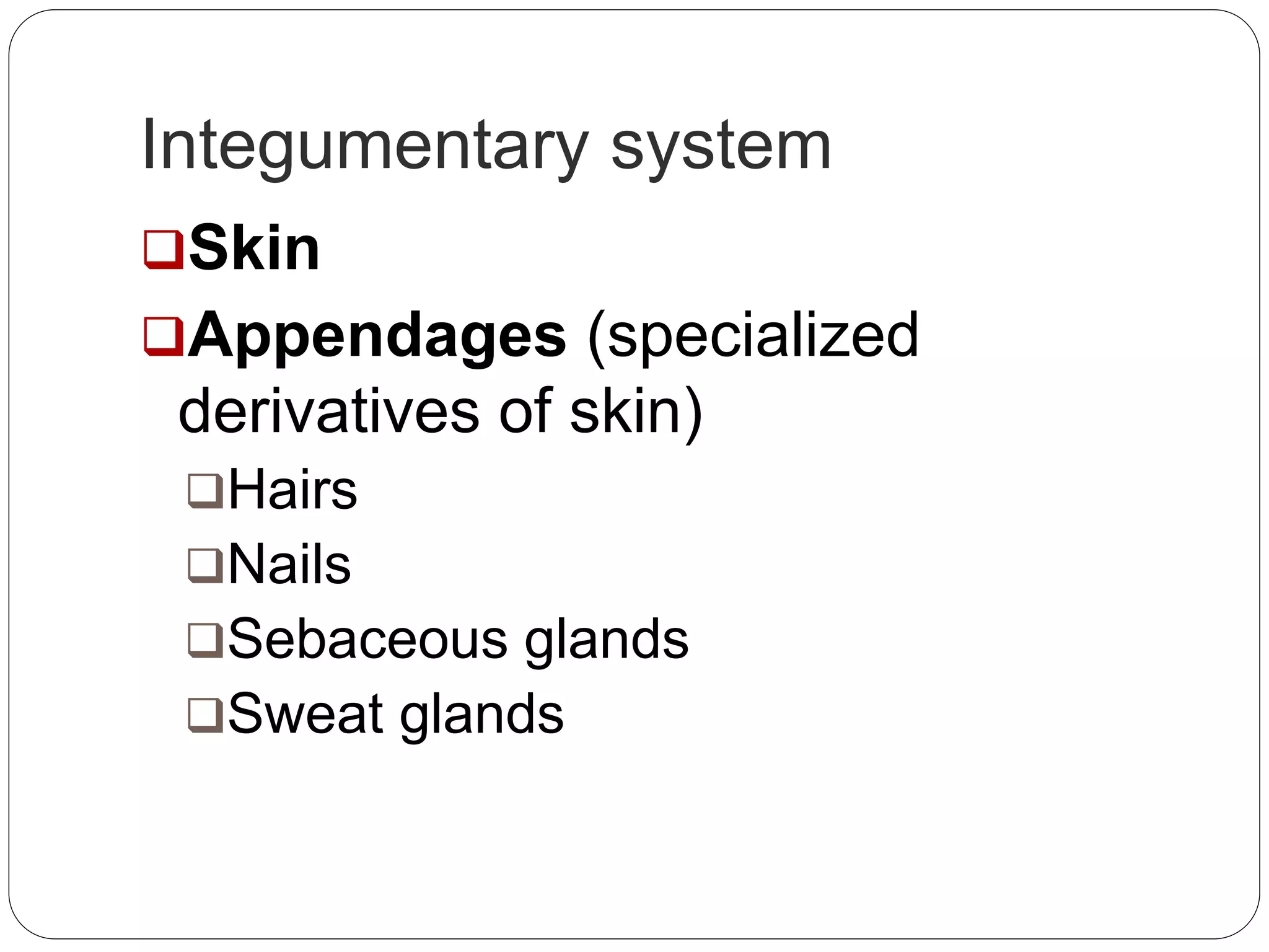 Integumentary system | PPTX