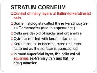Integumentary system | PPTX