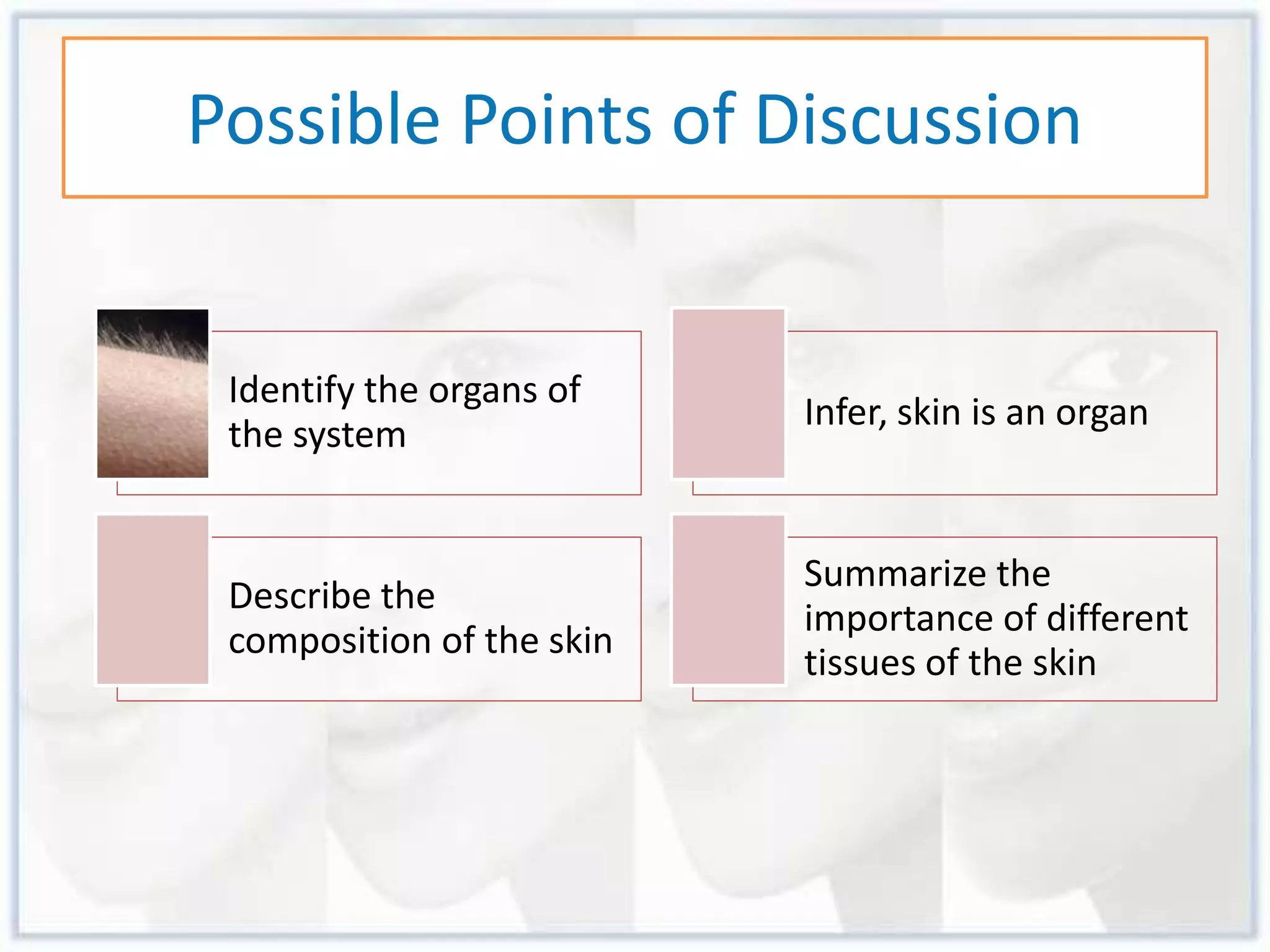 Integumentary system | PPT