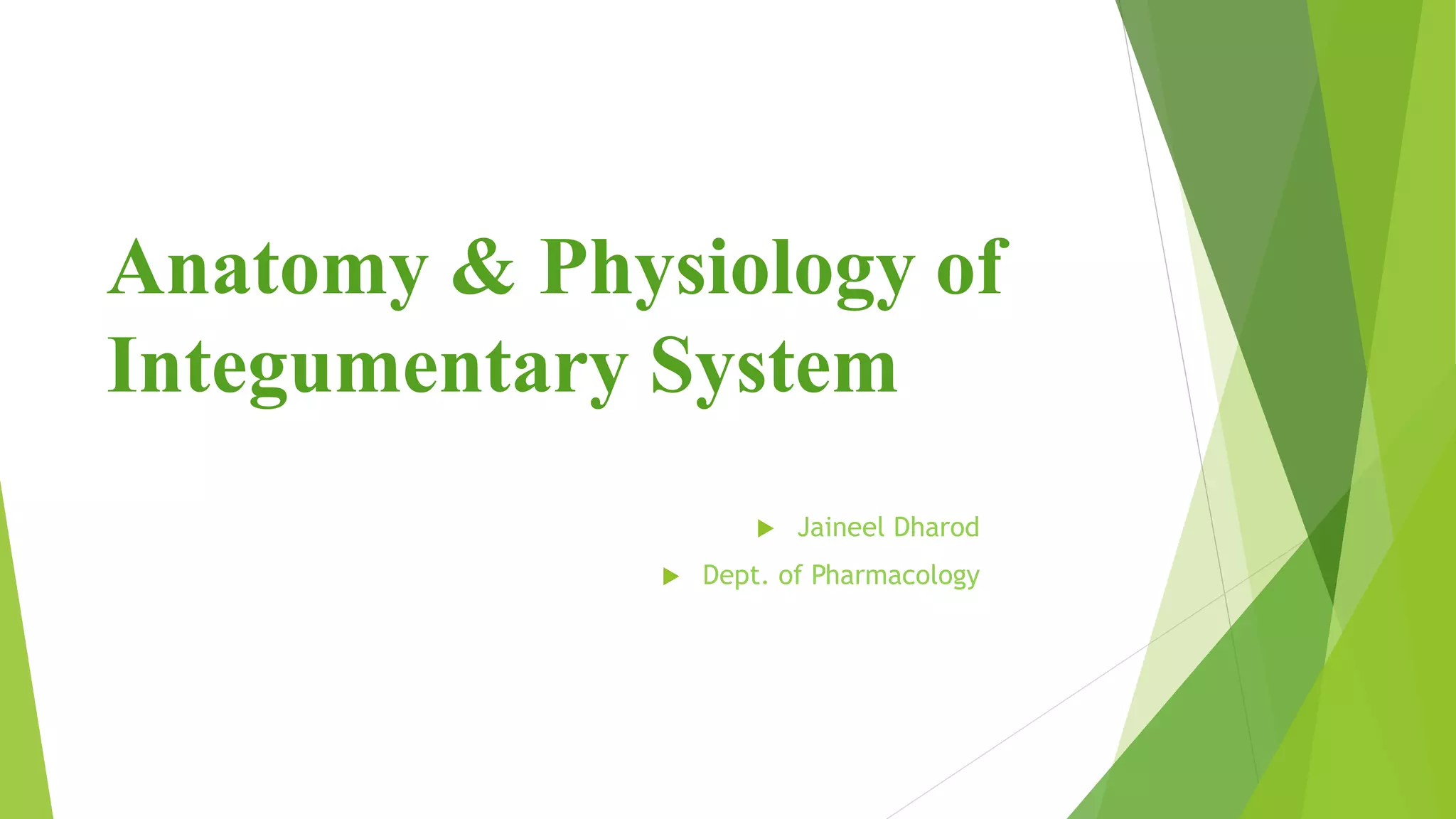 Integumentary system | PDF