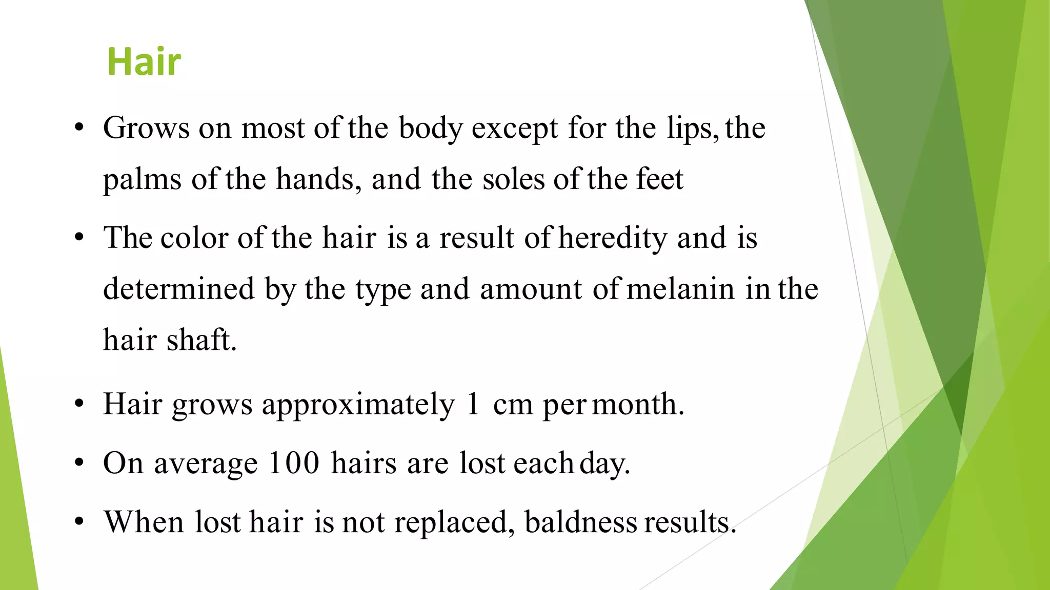 Integumentary system | PDF