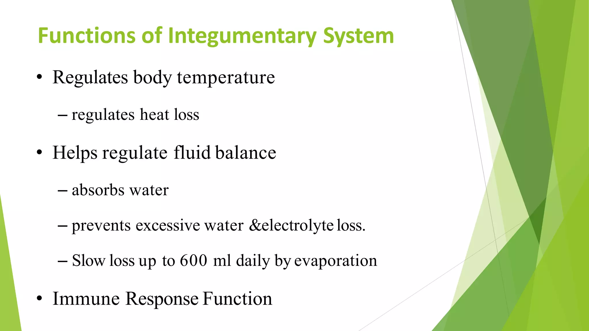 Integumentary system | PDF
