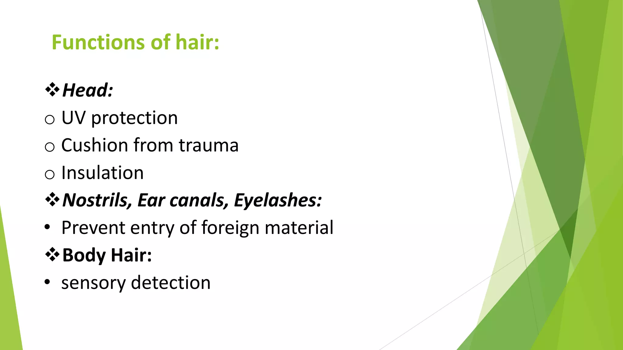 Integumentary system | PDF