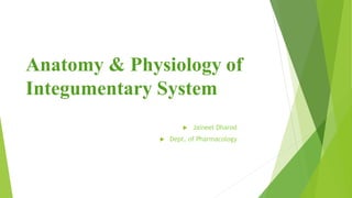 Integumentary system | PDF