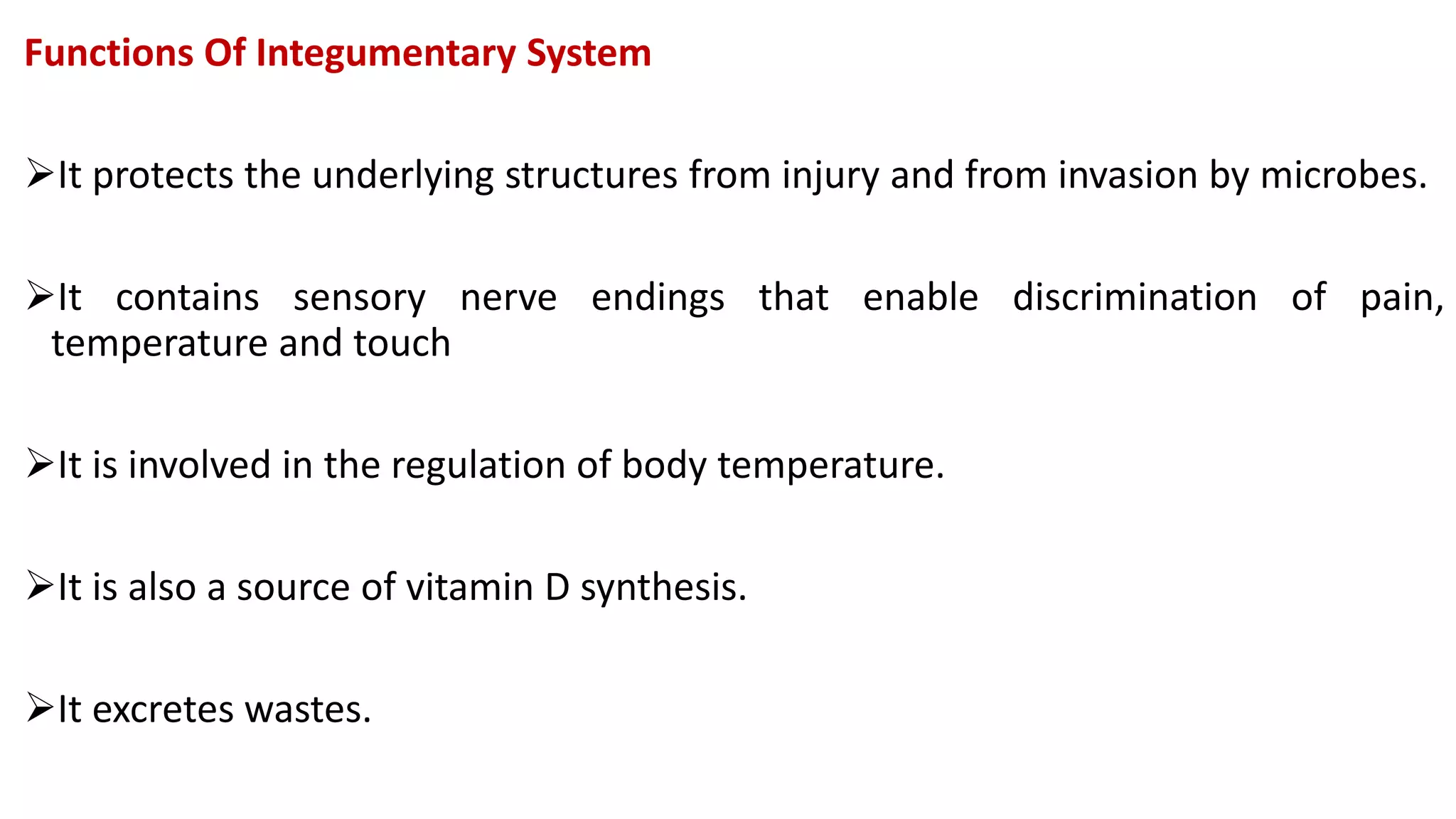 Integumentary system | PPTX
