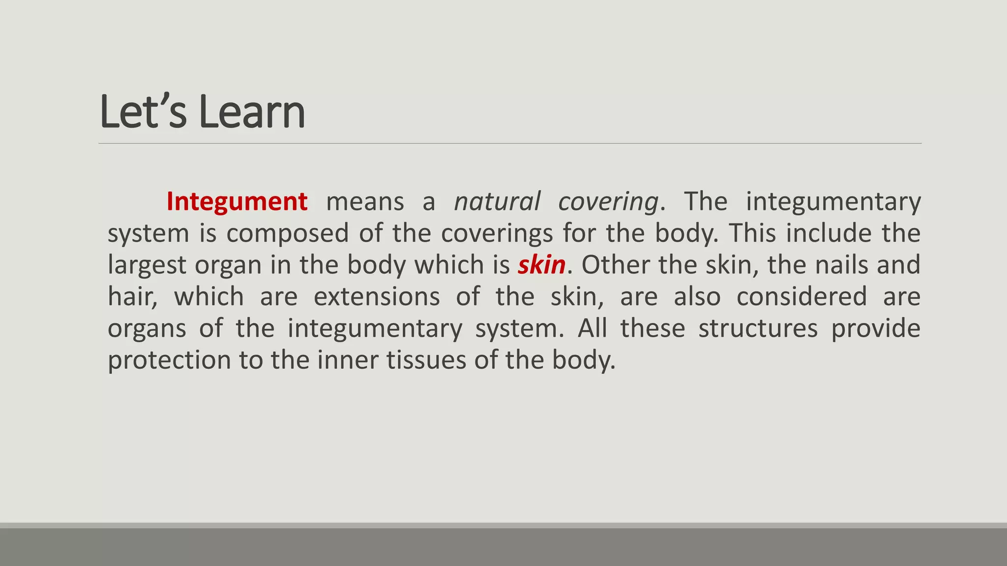 Integumentary system | PPTX