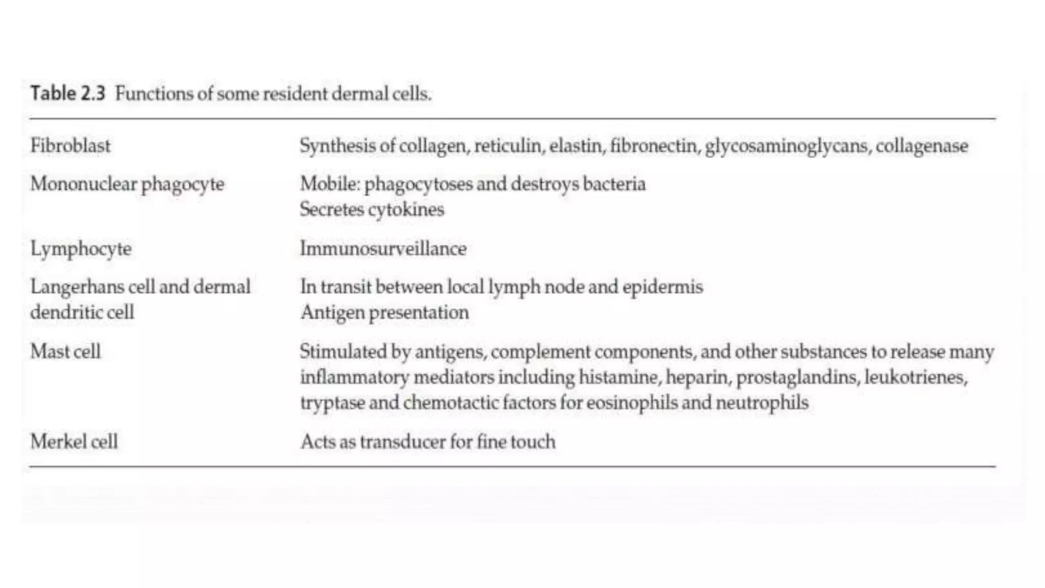 Integumentary System.pptx