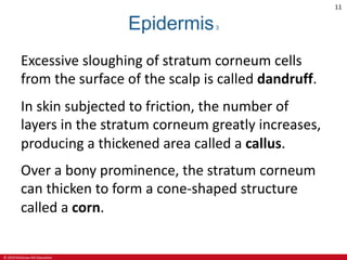 Sloughing Stratum Corneum Cells