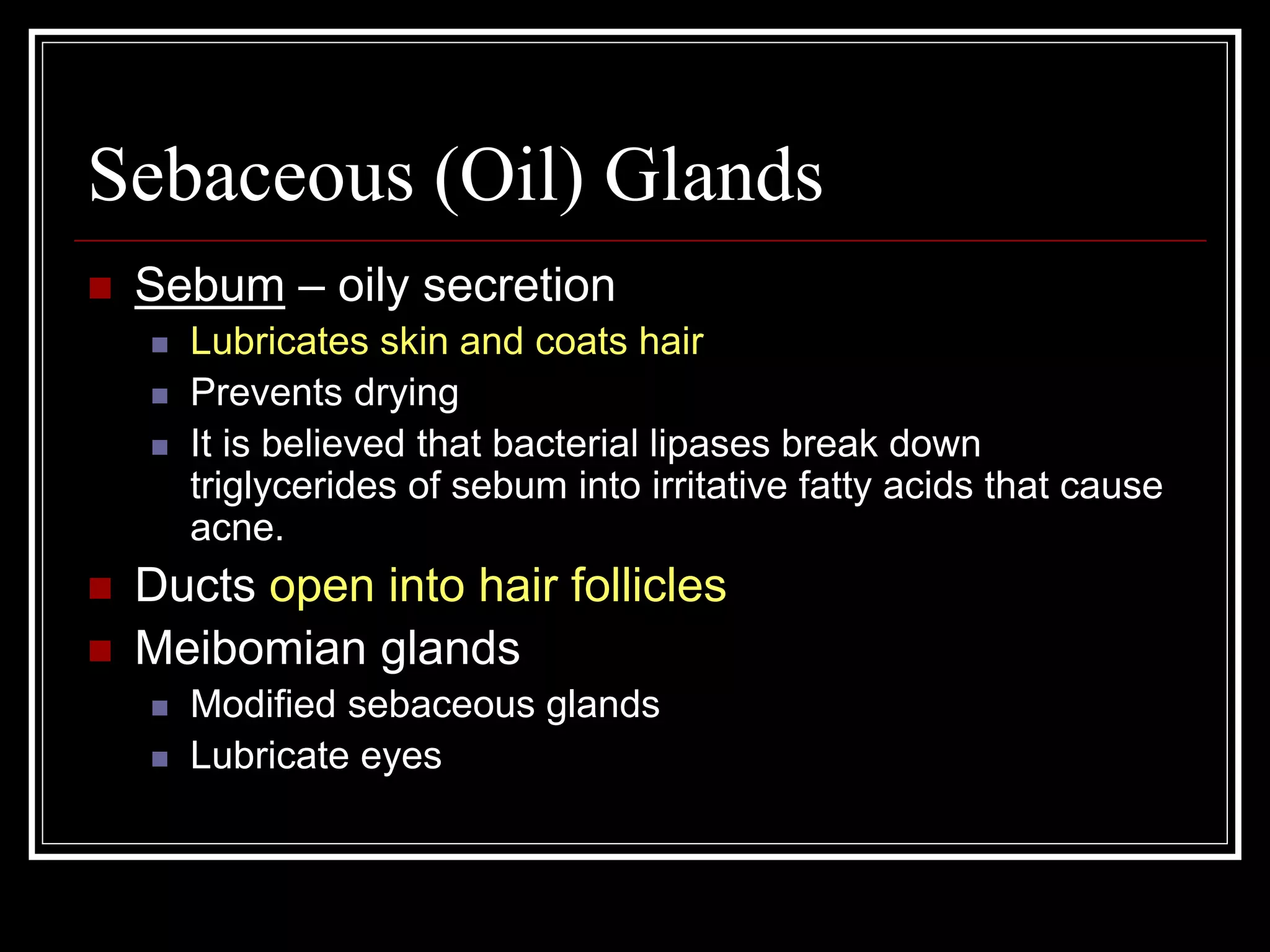 integumentary system.pptx