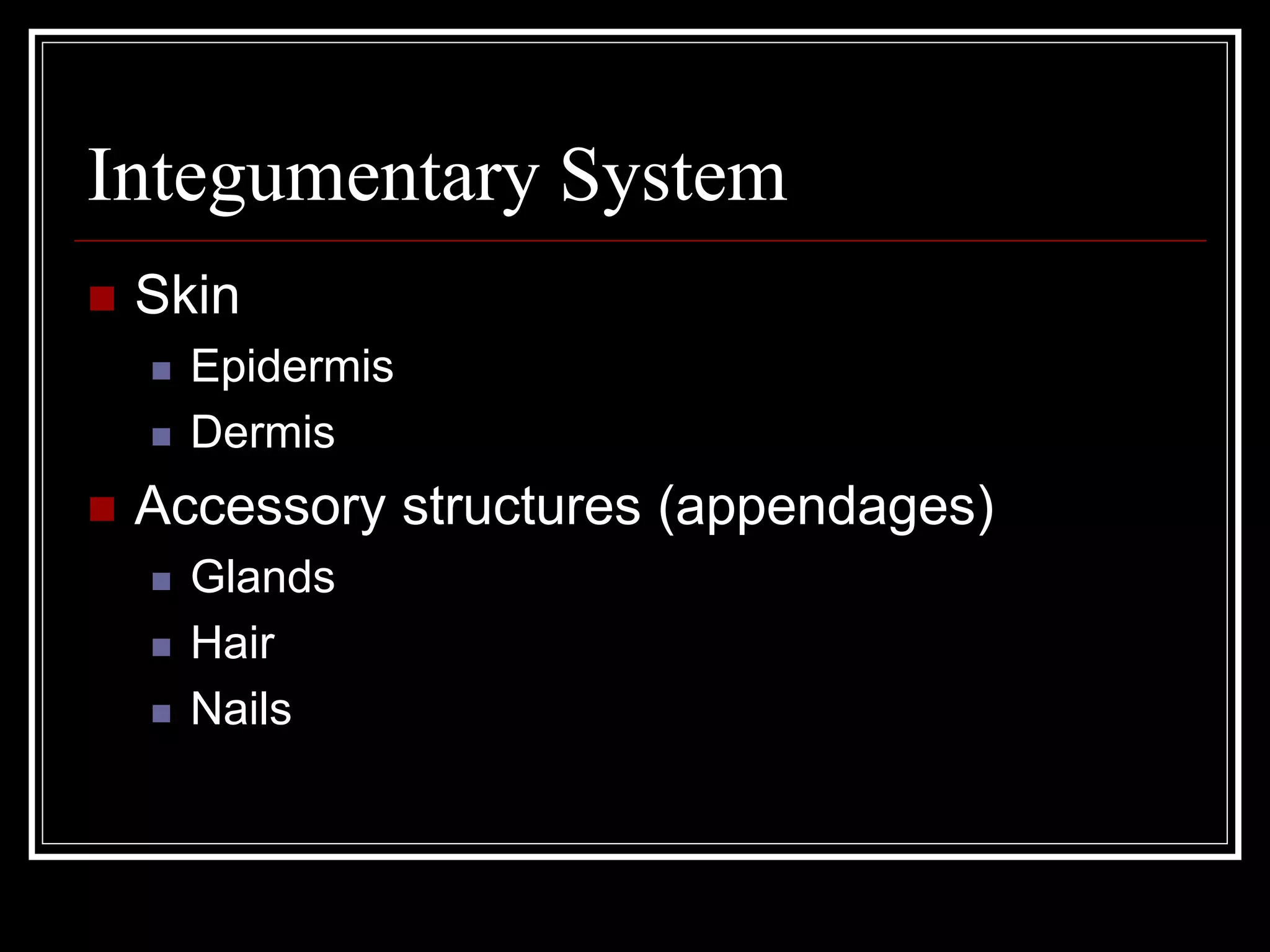 integumentary system.pptx
