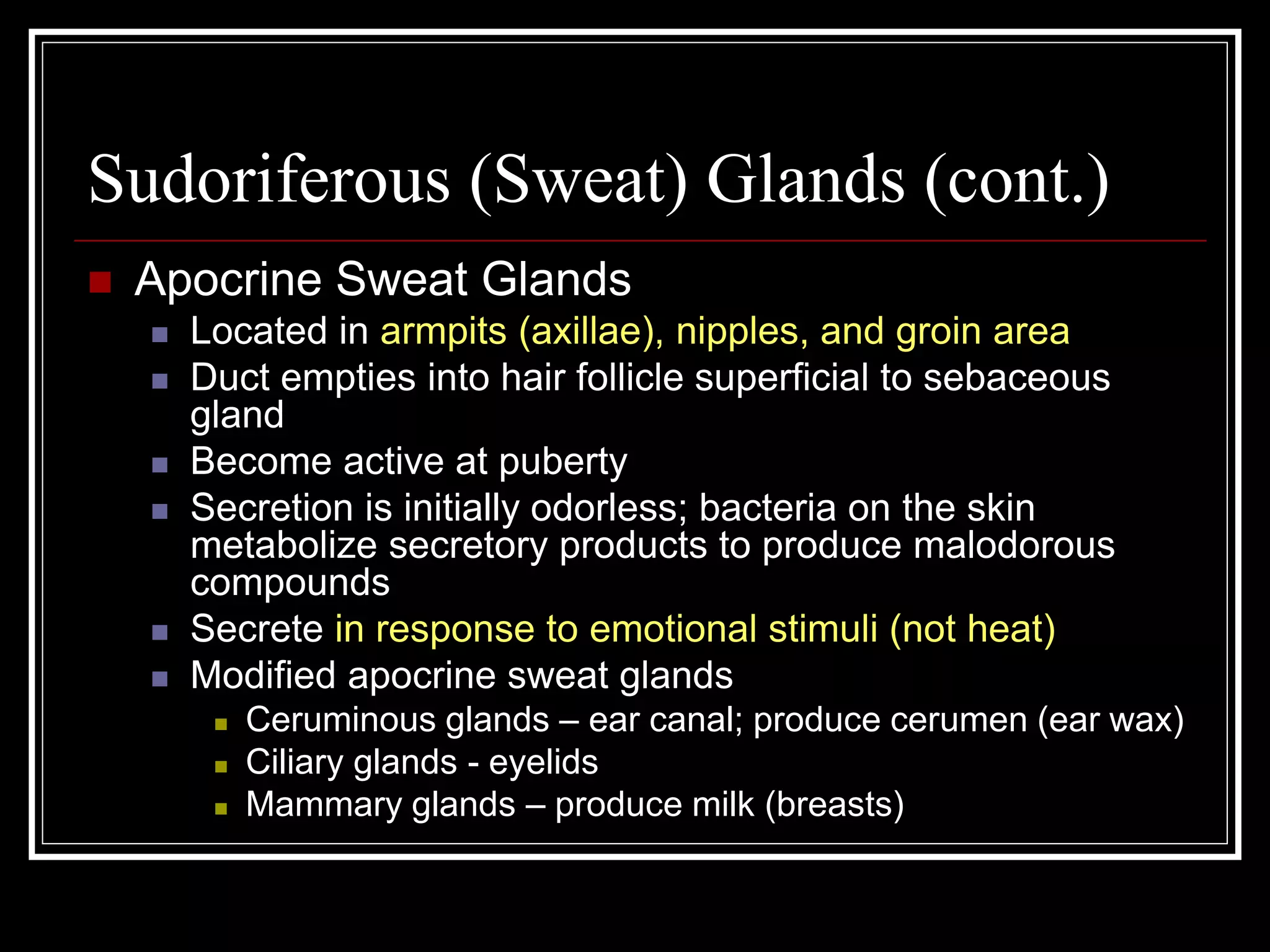 integumentary system.pptx