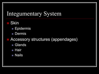 integumentary system.pptx