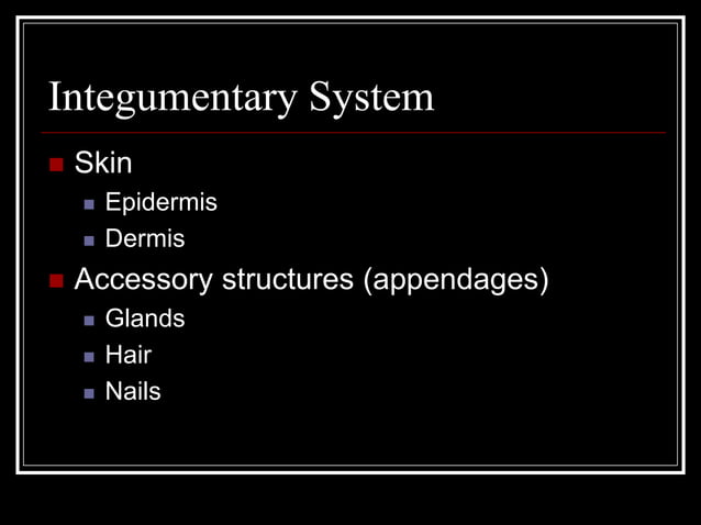 integumentary system.pptx | Skin and Dermatology | Diseases and Conditions