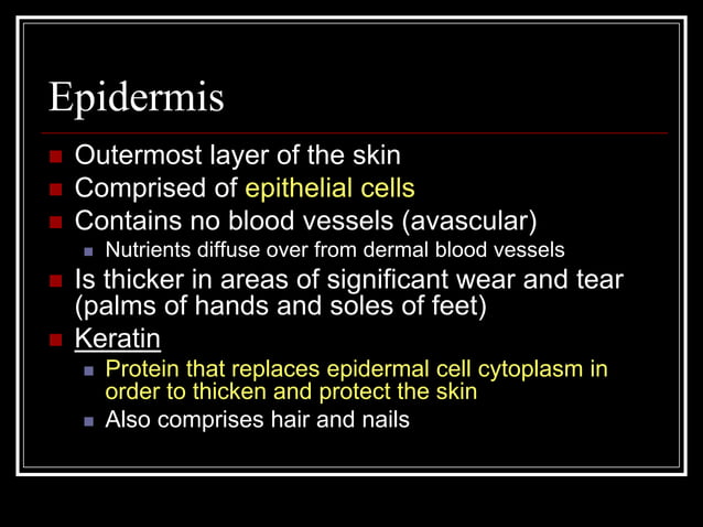 integumentary system.pptx | Skin and Dermatology | Diseases and Conditions