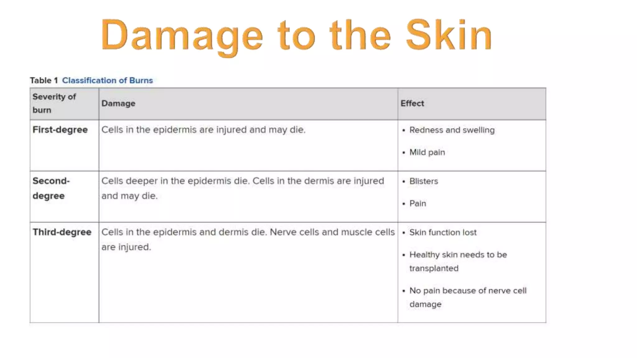 Integumentary System.pptx