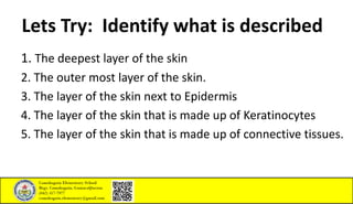 Integumentary System.pptx