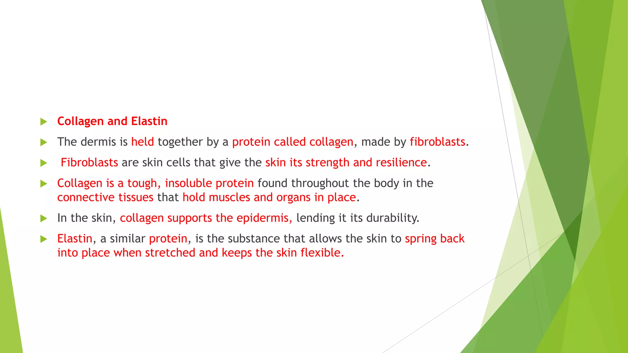 Integumentary system by Dr. Sami | PPTX