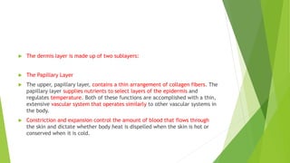 Integumentary system by Dr. Sami | PPTX