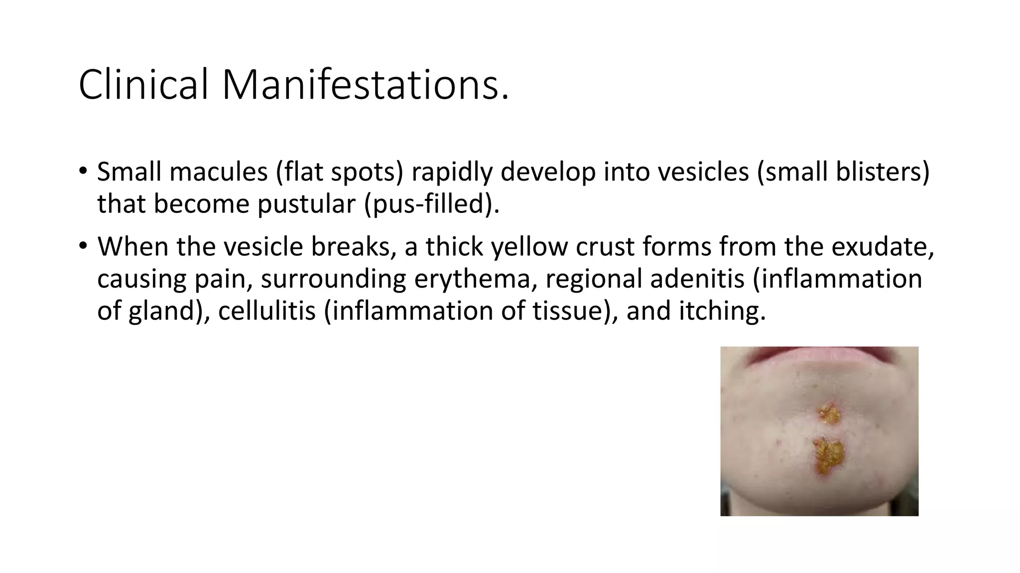 integumentary system.pdf