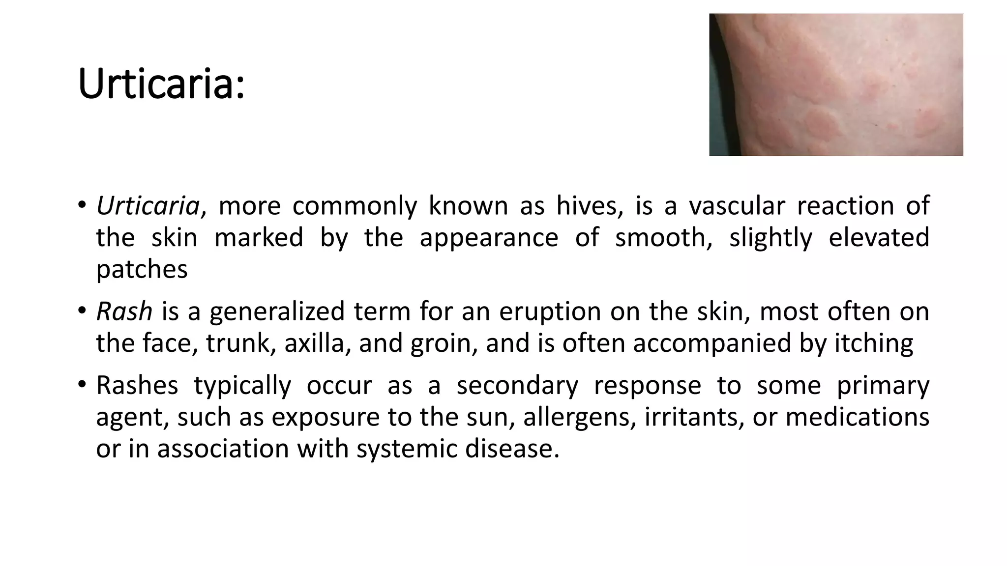 integumentary system.pdf