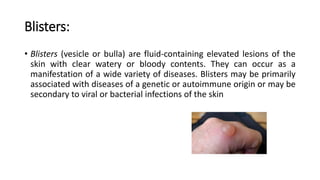 integumentary system.pdf