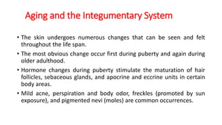integumentary system.pdf
