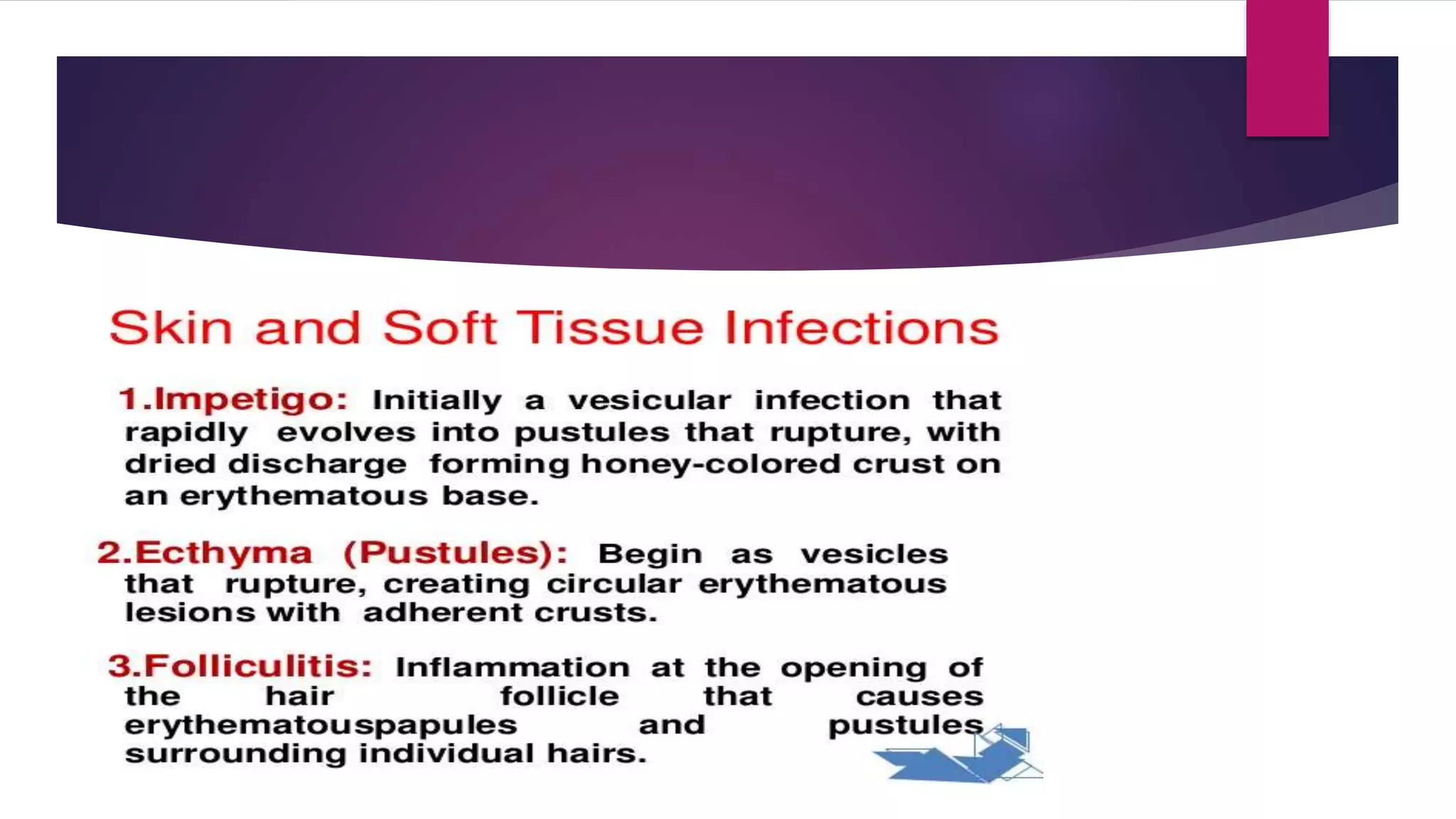 Integumentary system.pptx | Skin and Dermatology | Diseases and Conditions
