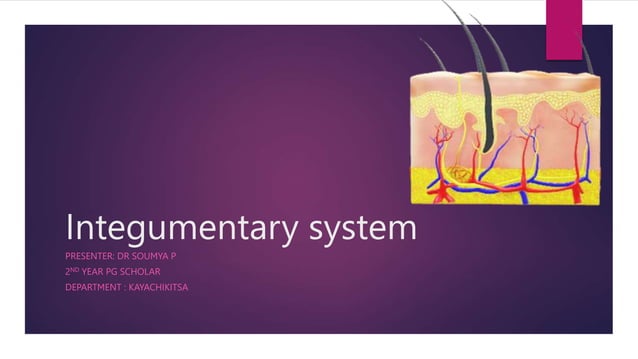 Integumentary system.pptx | Skin and Dermatology | Diseases and Conditions