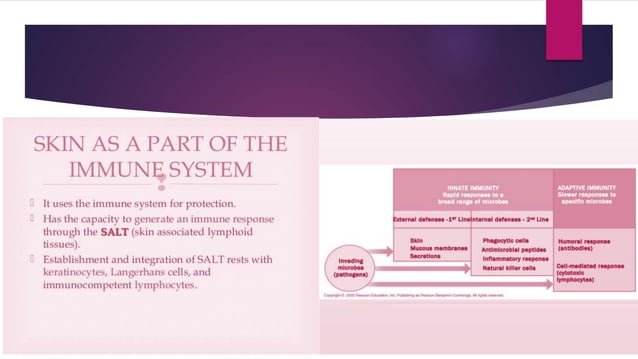 Integumentary system.pptx | Skin and Dermatology | Diseases and Conditions