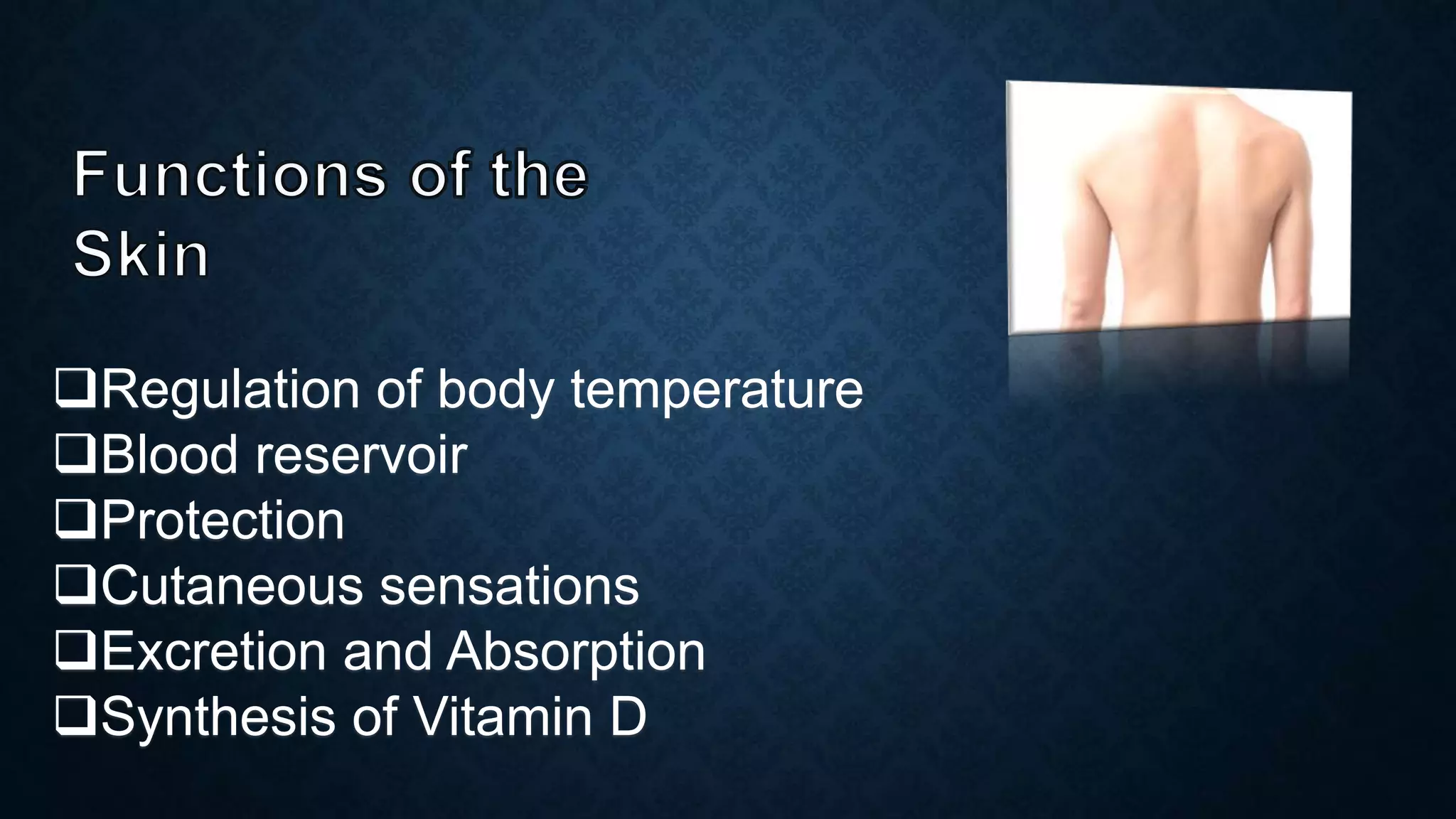 Integumentary System.pptx