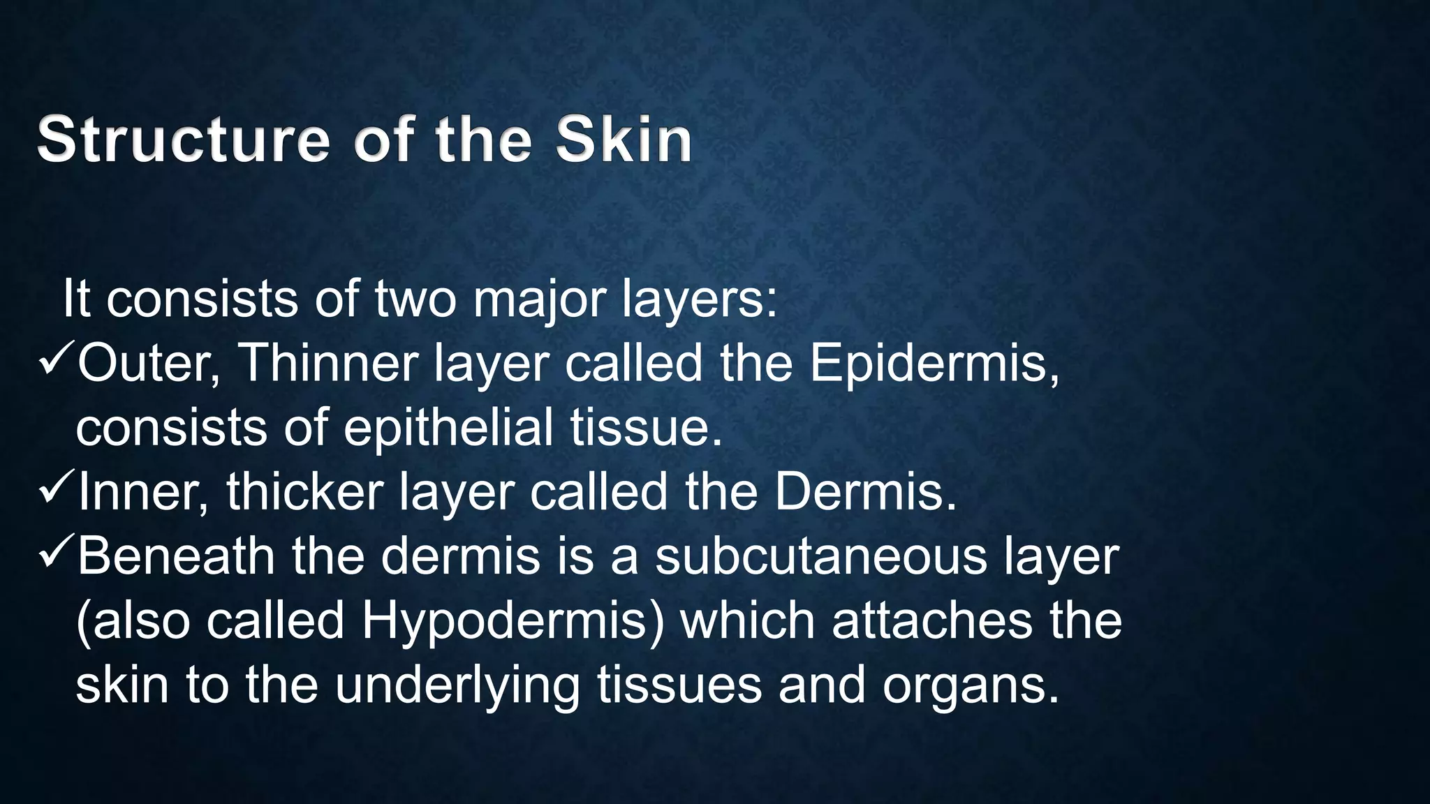 Integumentary System.pptx