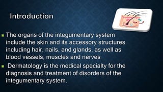 Integumentary System.pptx