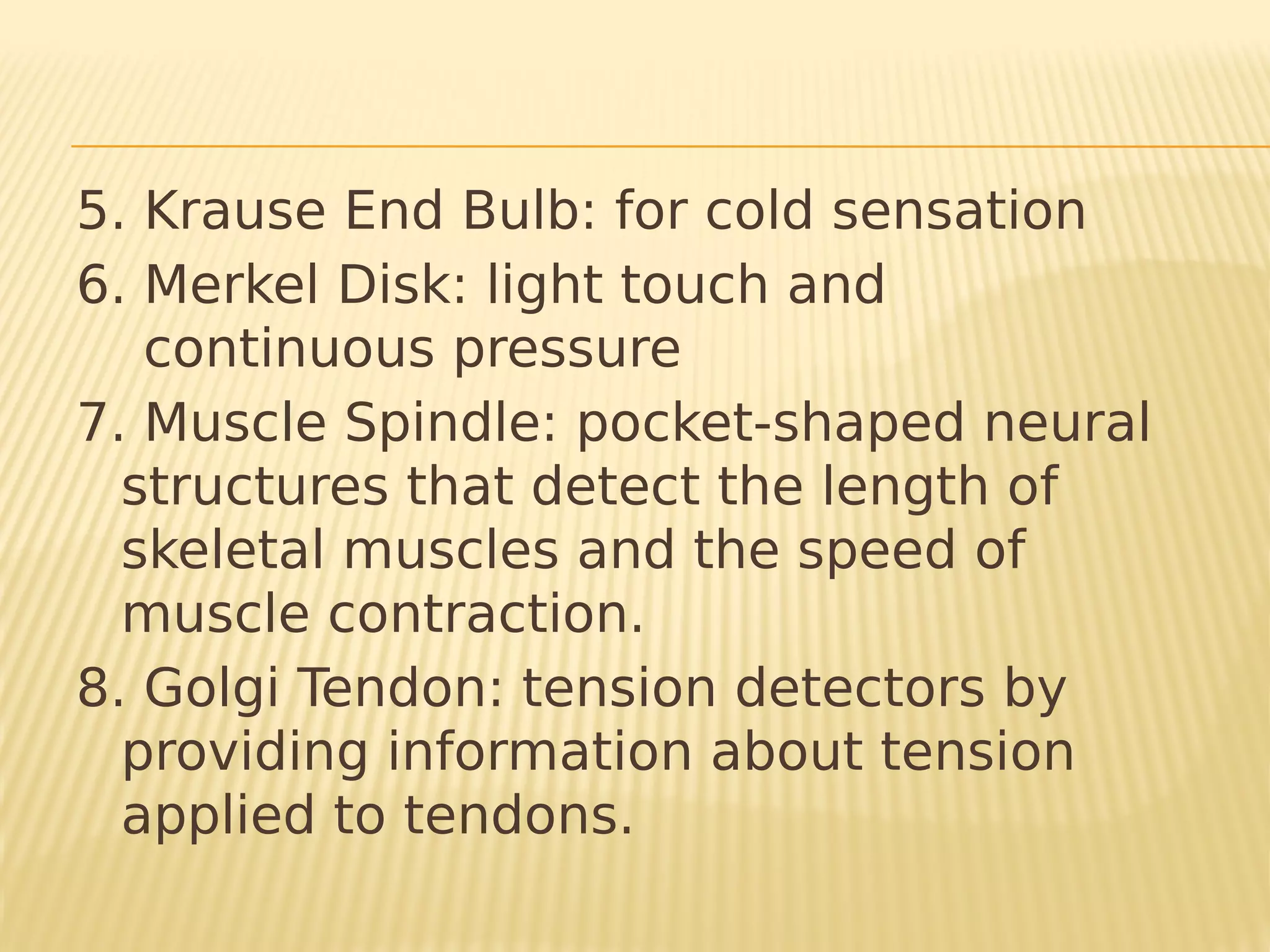 INTEGUMENTARY SYSTEM.pdf