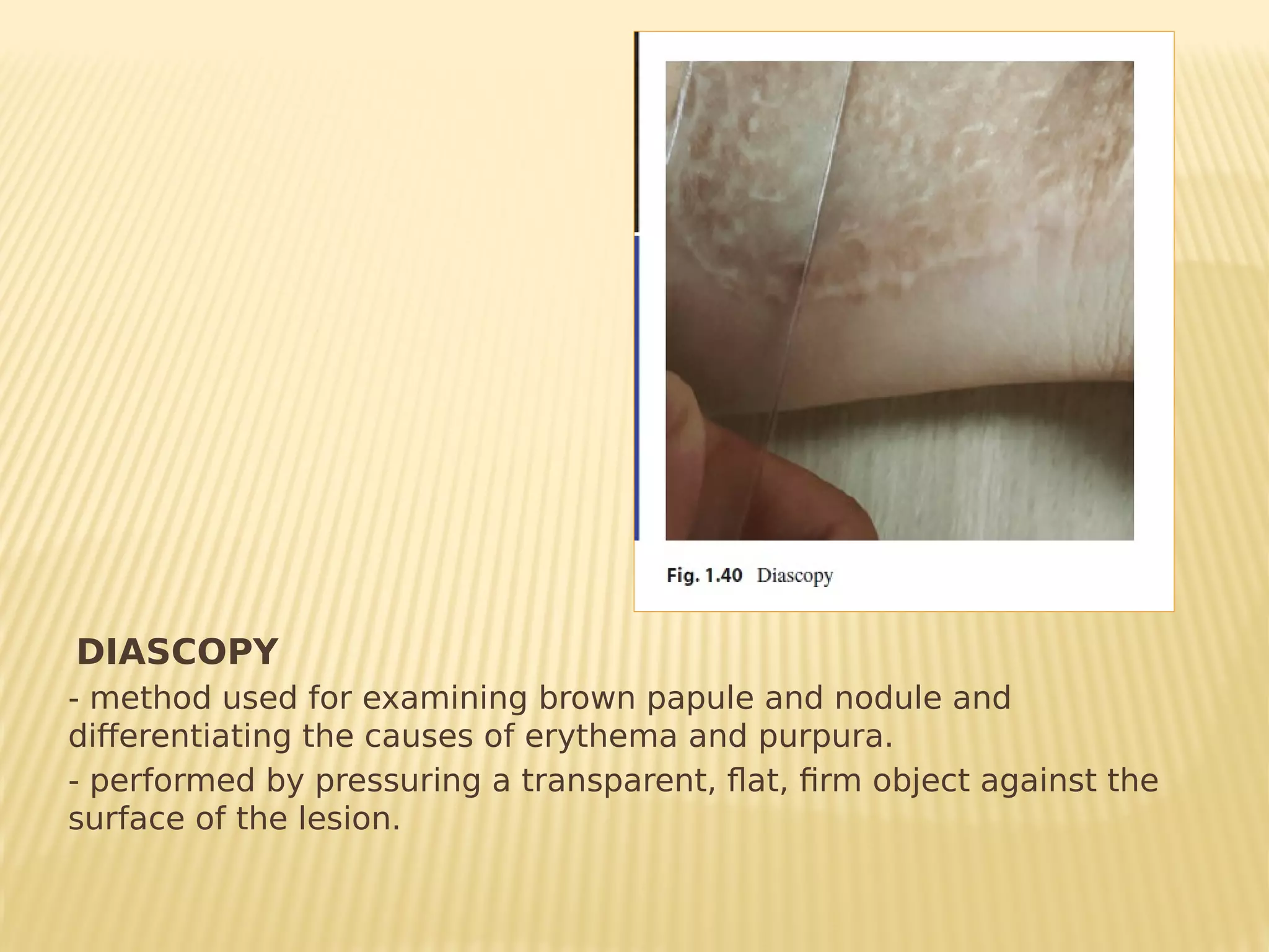 INTEGUMENTARY SYSTEM.pdf