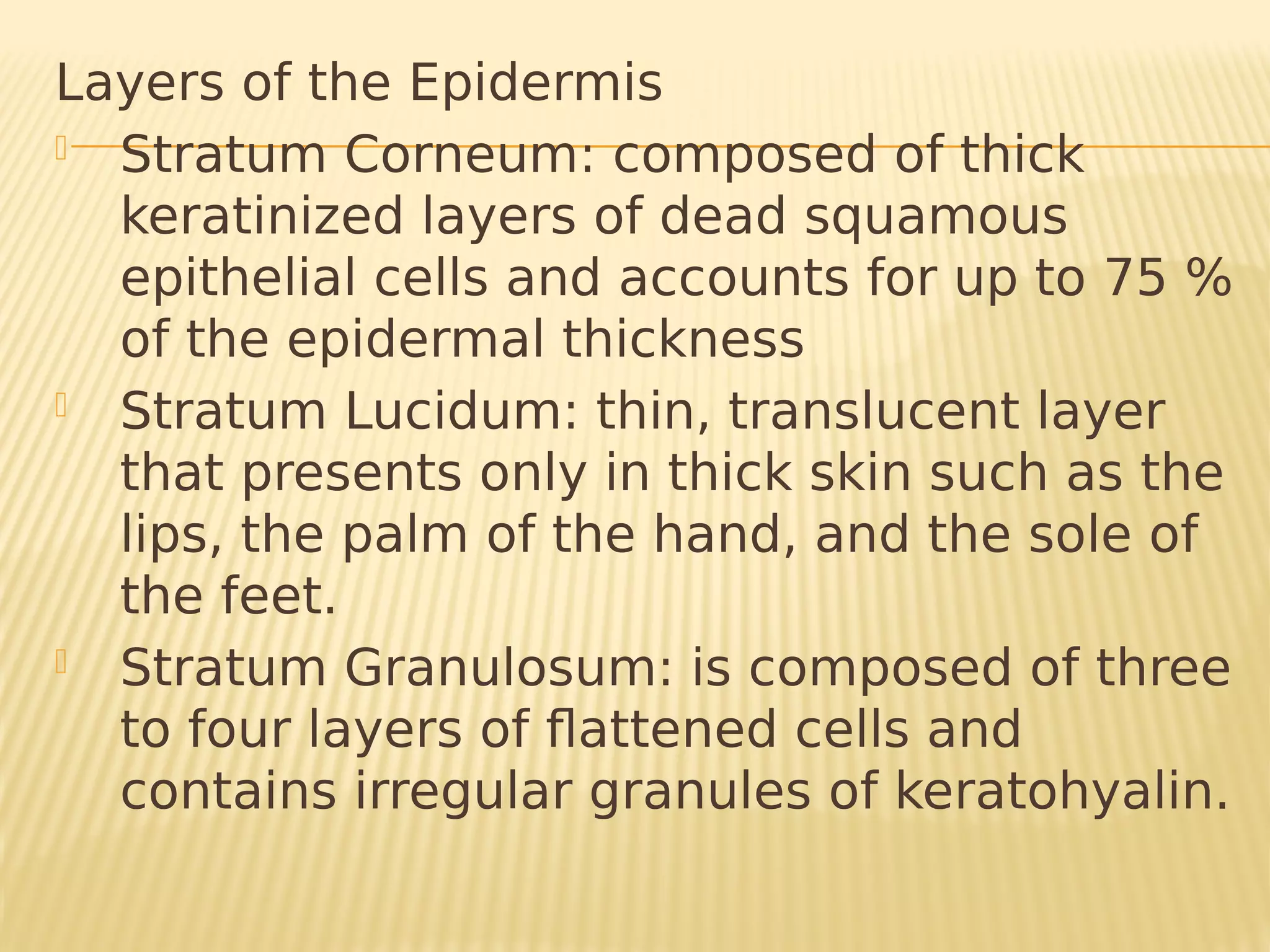 INTEGUMENTARY SYSTEM.pdf