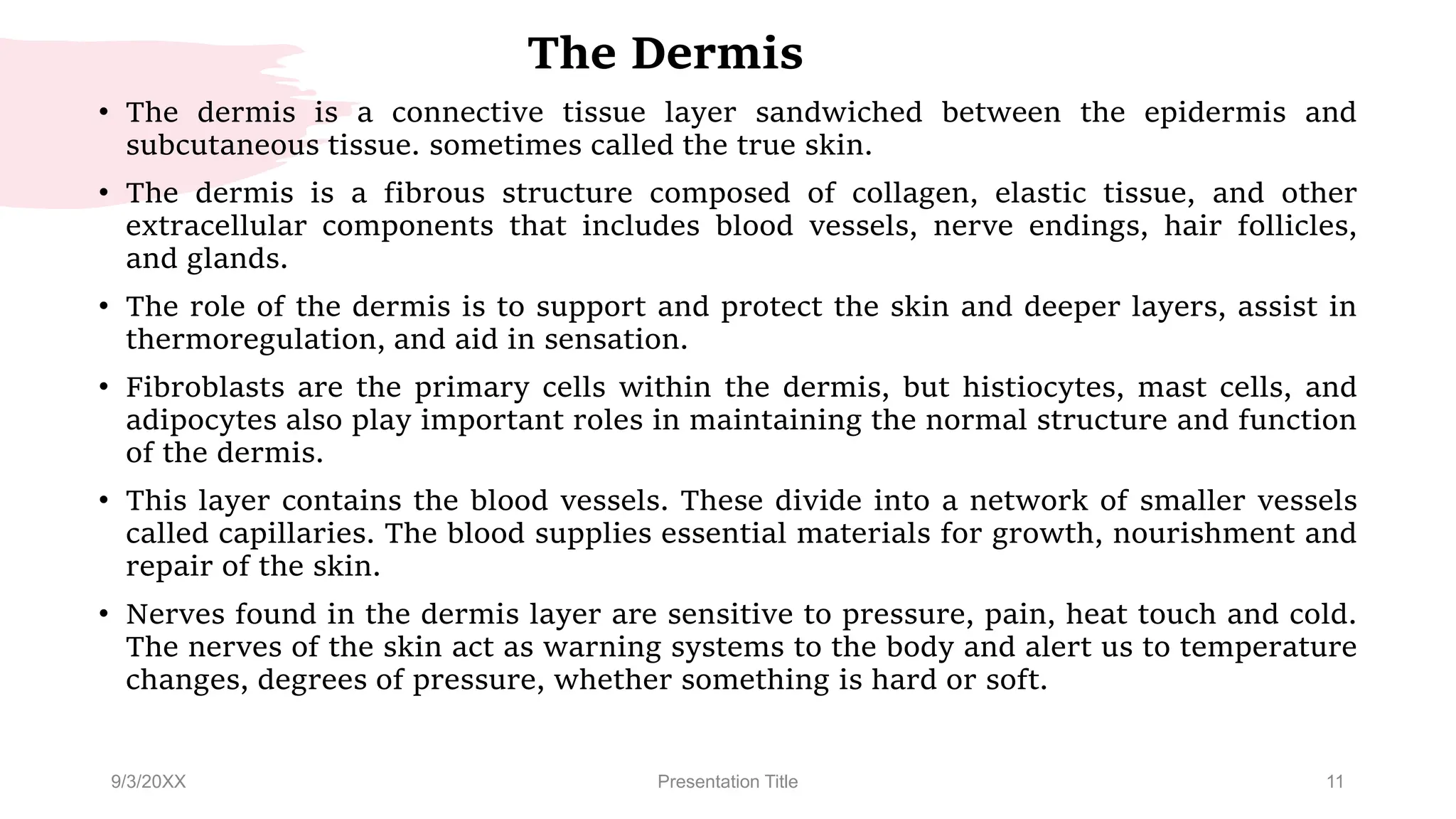 Integumentary system.pptx
