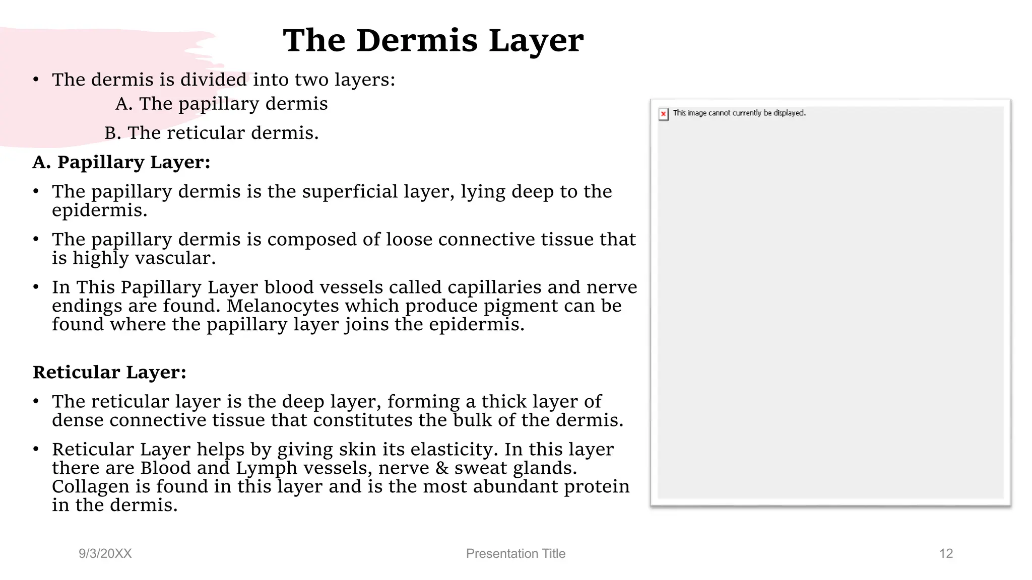 Integumentary system.pptx