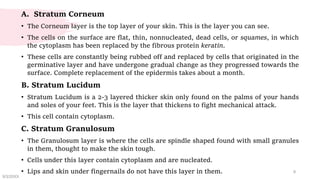 Integumentary system.pptx