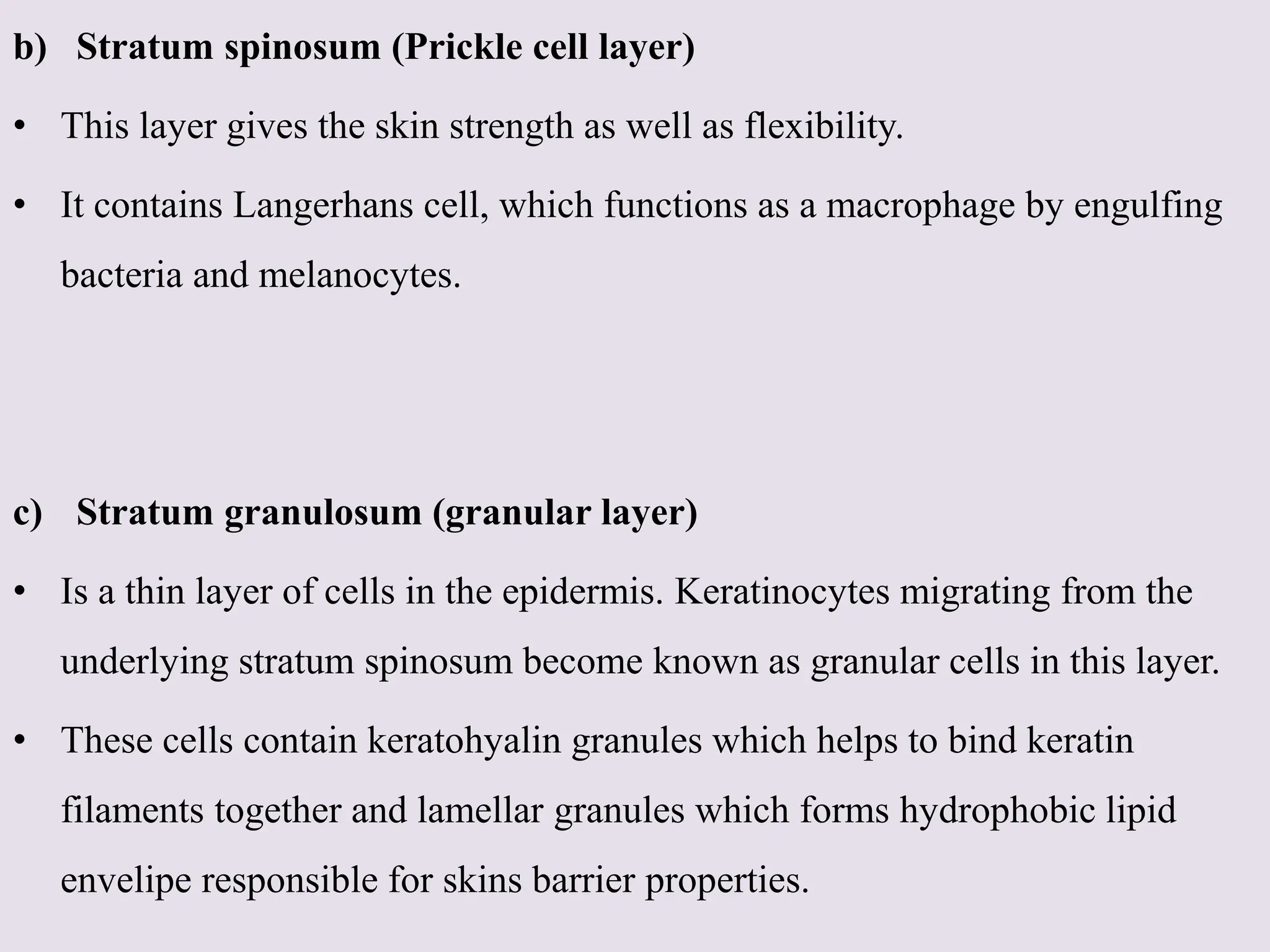 Integumentary System.pptx