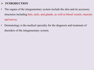 Integumentary System.pptx