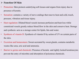 Integumentary System.pptx