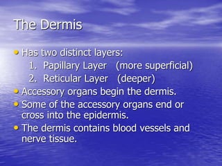 Introduction to Integumentary System y dr jamil anwar | PPT