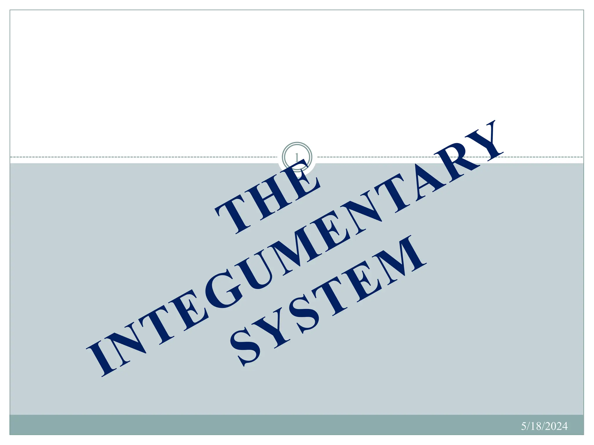 Anatomy of integumentary systems for.ppt