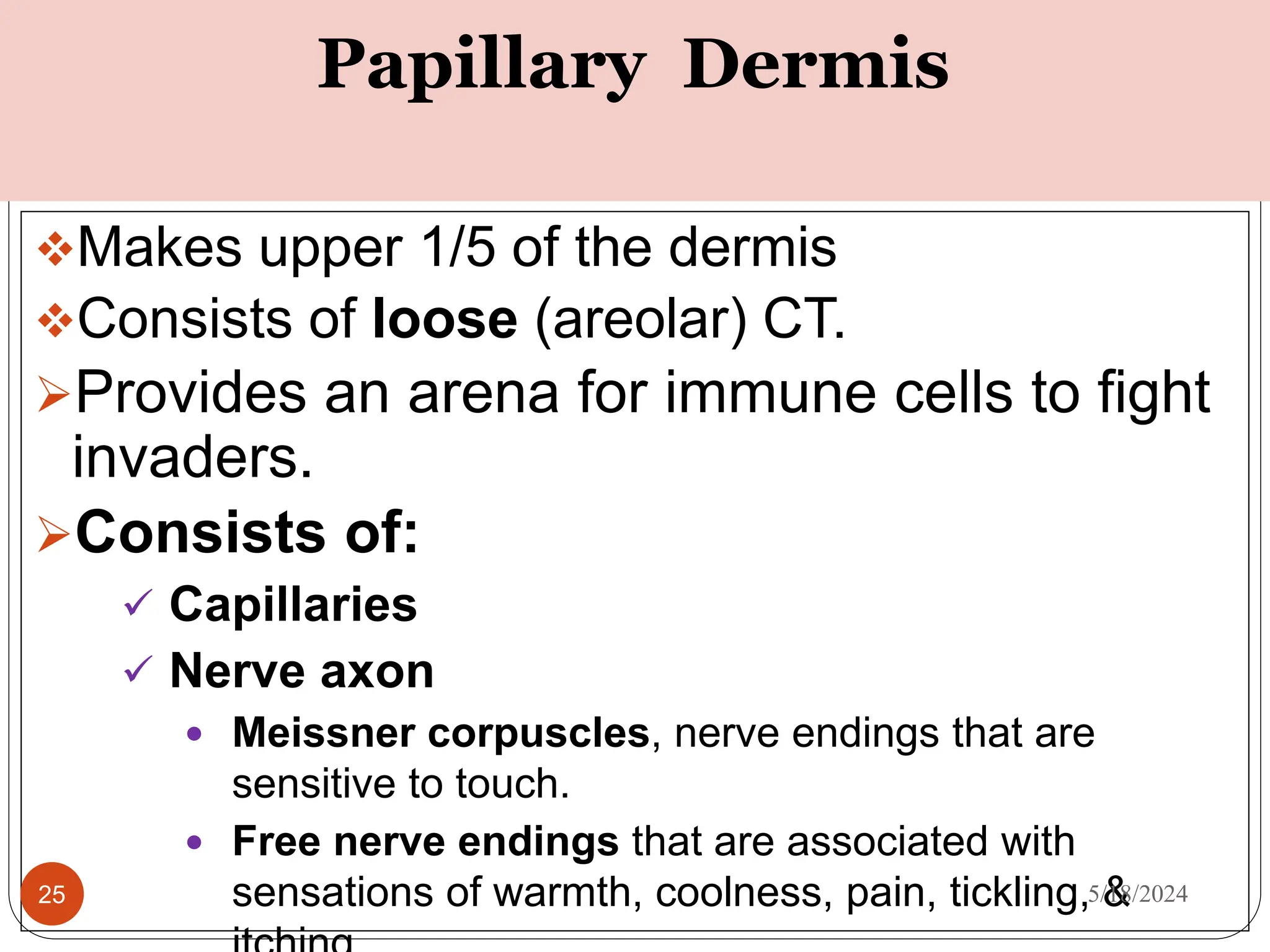 Anatomy of integumentary systems for.ppt